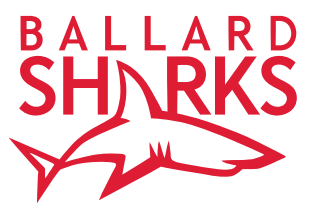Ballard Sharks - 003 – Elsmore Swim Shop