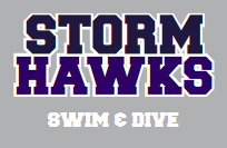 Chaska/Chan HS Boys – Elsmore Swim Shop