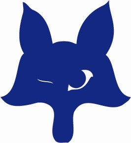 Foxjets Swim Team – Elsmore Swim Shop